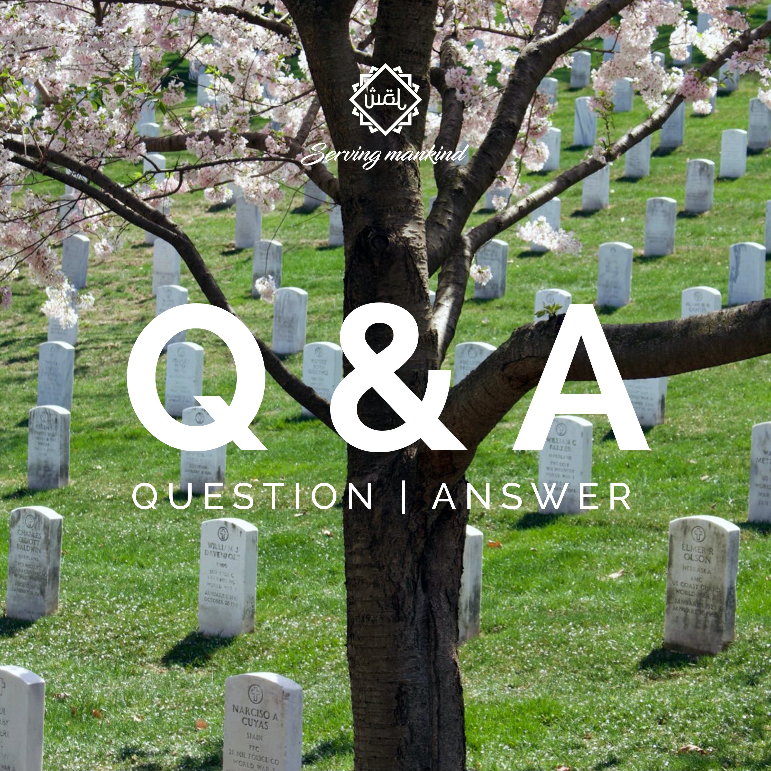 Visiting the graveyard - WOL Foundation